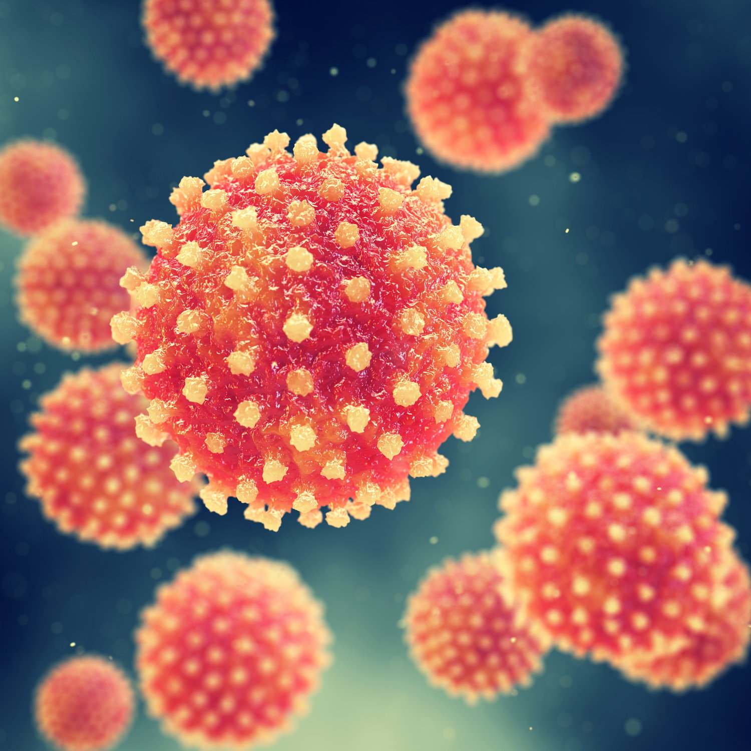 Hepatitis B Hepatitis B